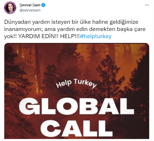 Hepsinden tam destek! Help Turkey diyerek dünyaya sesimizi duyuran ünlü ...