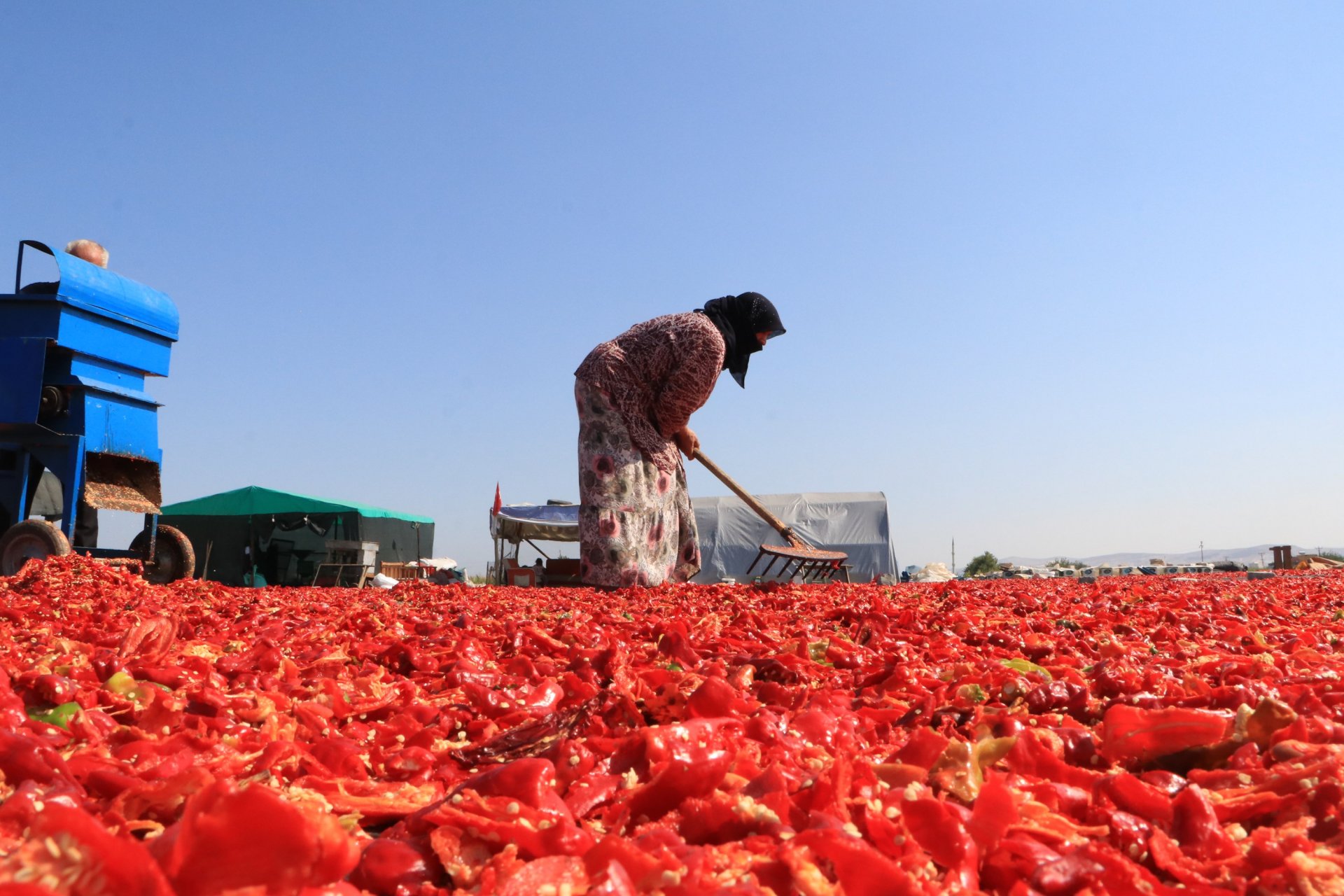 Kendi isotunu kendin yap! İşte Şanlıurfa usulü isot tarifi